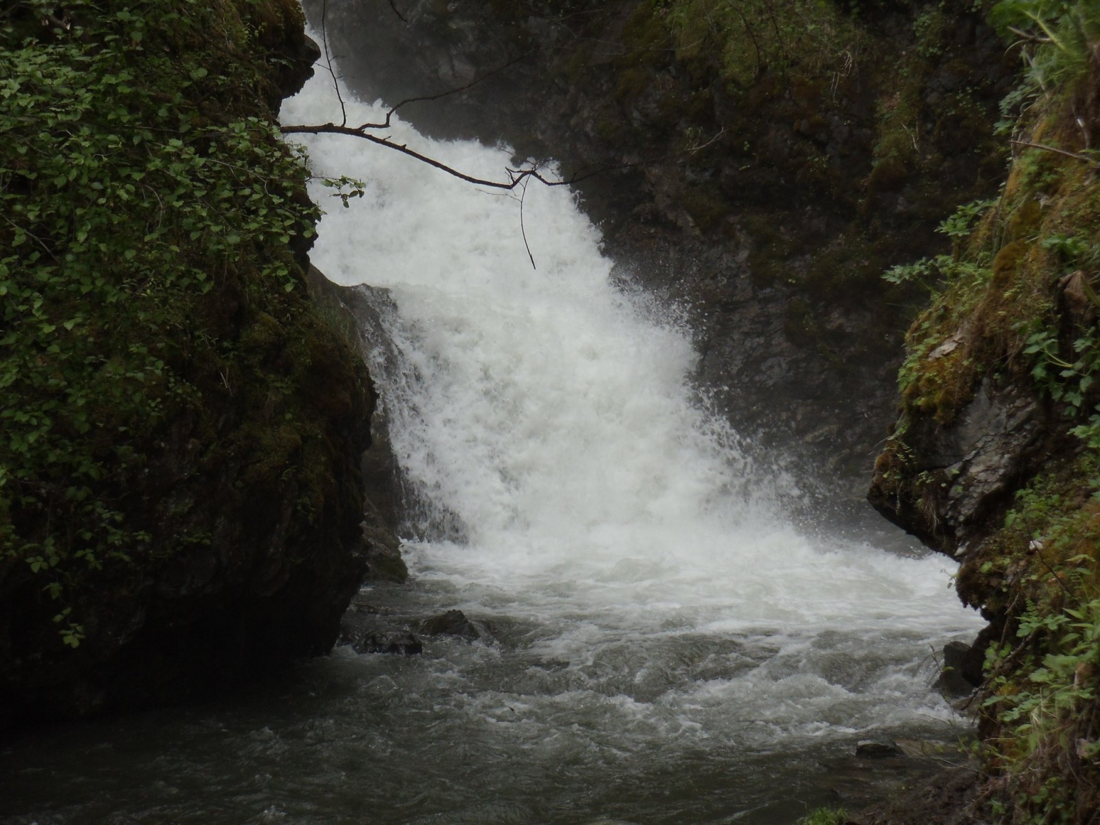 Thunderbird Falls Trail | ALASKA.ORG